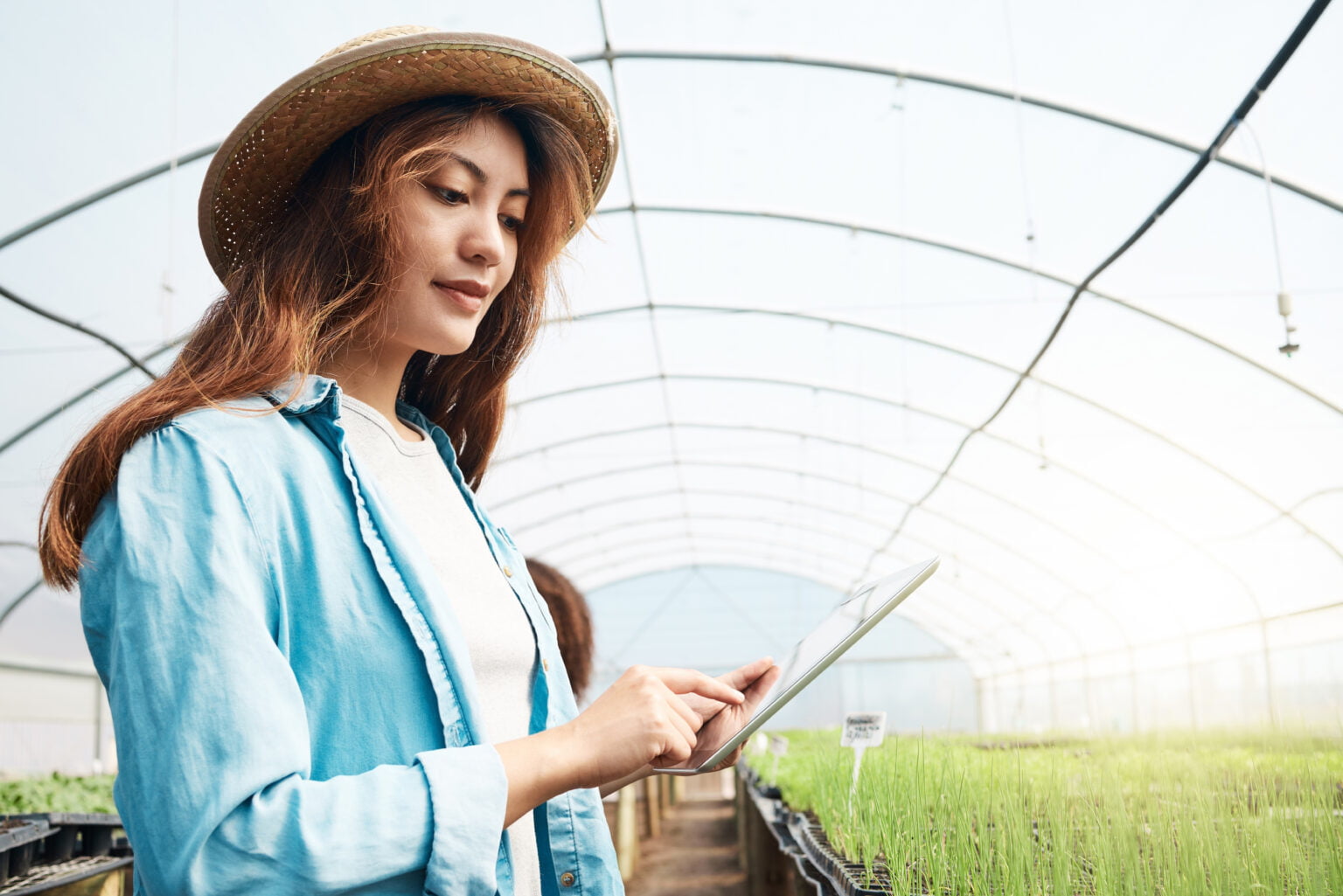 Your Guide To Starting A Farm Of Your Own – GetSpaz